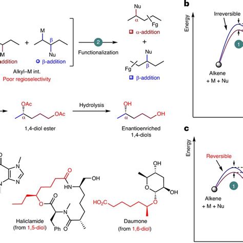 Key Results From The Dft Calculations A The Four Pathways For The