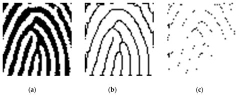 Entropy Based Clustering Algorithm For Fingerprint Singular Point Detection