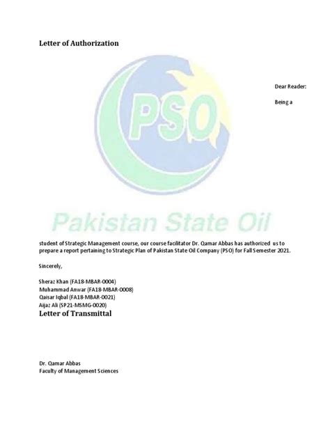 pso final report strategic management pdf business economies