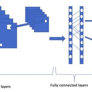 Deep Neural Network The Convolutional Neural Network CNN Are The Most Download Scientific