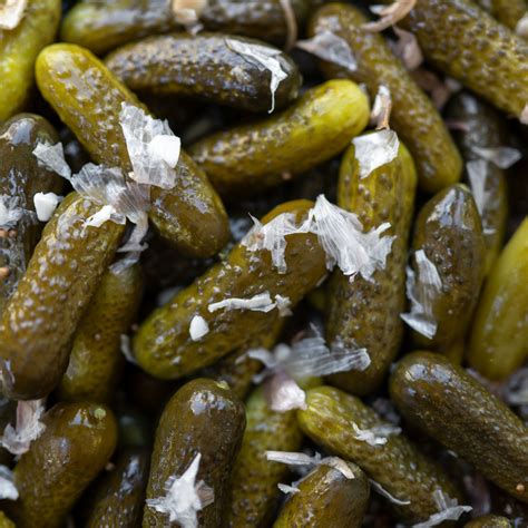 Sour Pickles The Pickle Guys