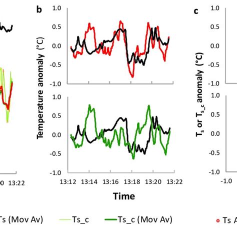 Influence Of Air Temperature Ta On Surface Temperature Ts And On The
