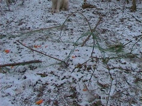 Wolfbushcraft Bird Net Trap