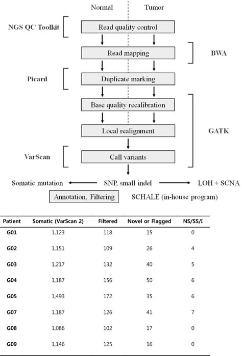 Bioinformatics Pipeline For Exome Data And Numbers Of Somatic Mutation