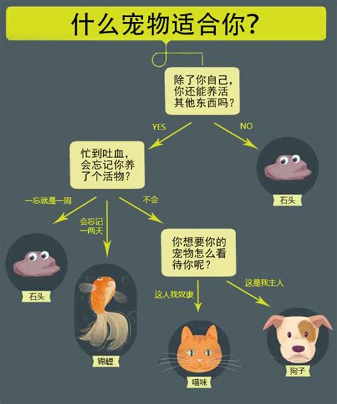 机器学习 决策树实验及源码（python版）生成一个简单的数据集用来进行决策树算法实验 Csdn博客
