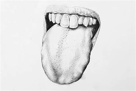 How To Draw Tongue Step By Step