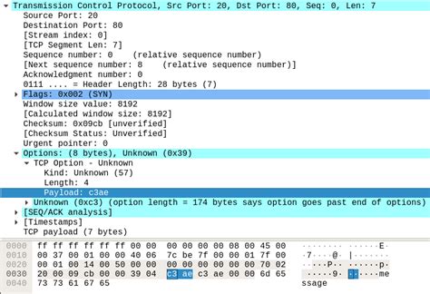 Allow Binary Data For Obsoleteunassigned Tcp Options · Issue 1687