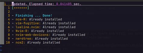 Ronny A Hernández Mora Using Neovim For R Users