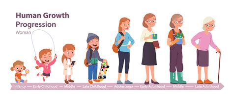 세대는 아이에서 노인으로 설정합니다 소녀에서 노인으로 아기 진화 여자 유아 아이 십대 성인 중년 노인 여성 컬렉션 노화 공정 플랫 벡터 일러스트레이션 아이에 대한 스톡 벡터