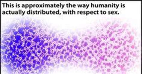 Human Biological Sex Distribution Media Chomp