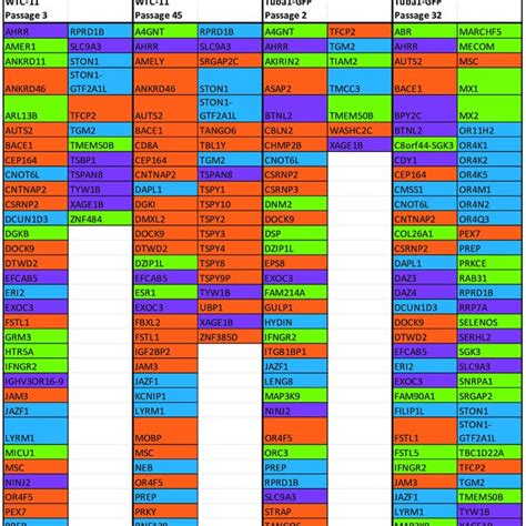 Structural Variants Affect Coding Sequences Of Many Genes List Of