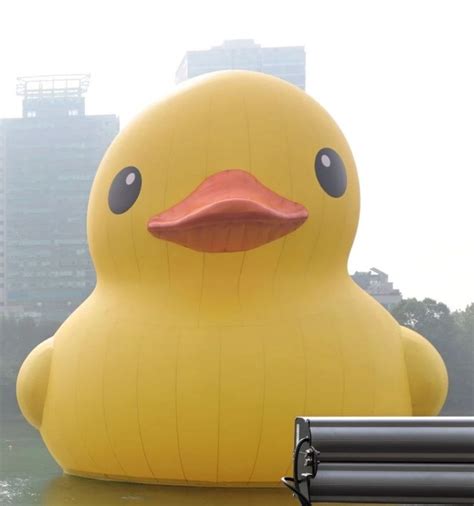 벌크업한 석촌호수 러버덕 인스티즈 Instiz 이슈 카테고리