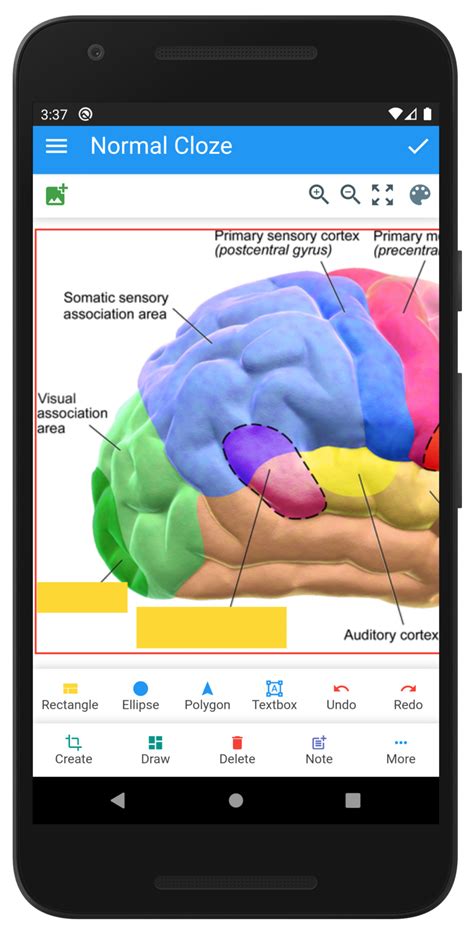 Anki Image Occlusion Anki Image Occlusion App Used To Create Normal