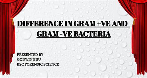 Difference Between GRAM Positive AND GRAM Negative Bacteria Forensic Science Studocu