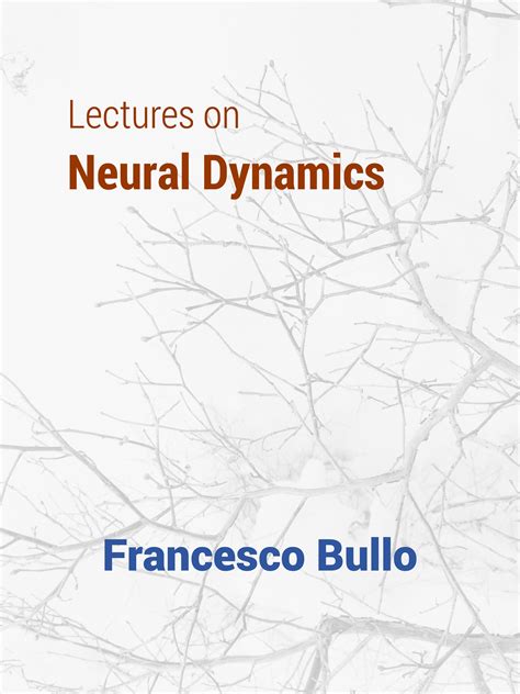 Lectures On Neural Dynamics