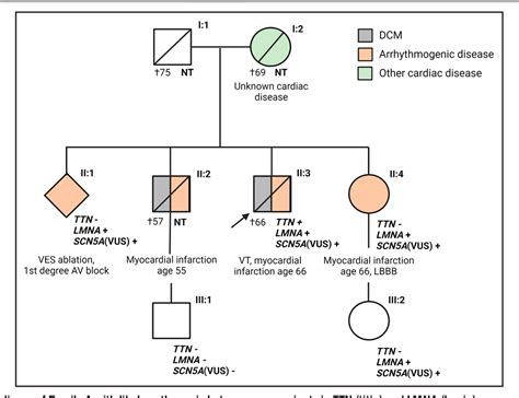 Figure 2 From Prevalence And Clinical Consequences Of Multiple
