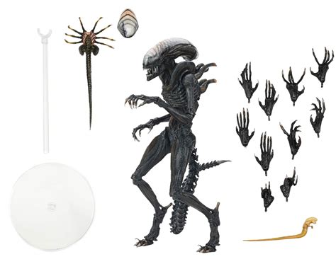 Customer Reviews Neca Alien Romulus 7 Scale Action Figure Ultimate
