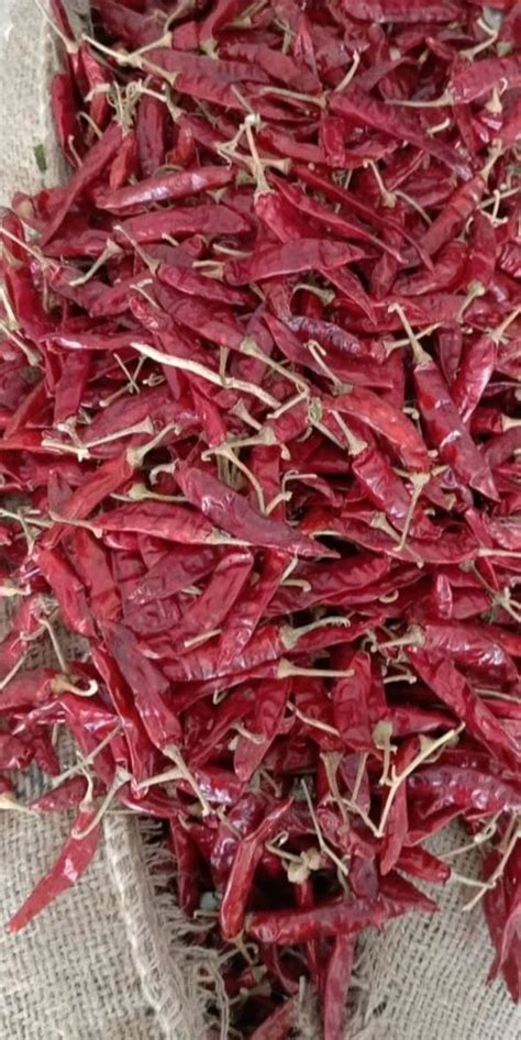 S10 Organic Dry Red Chilli At ₹ 195kg Dry Red Chilli In Byadgi Id