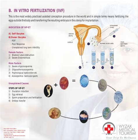 In vitro fertilization ivf india - Wyzax Infertility Consultant India