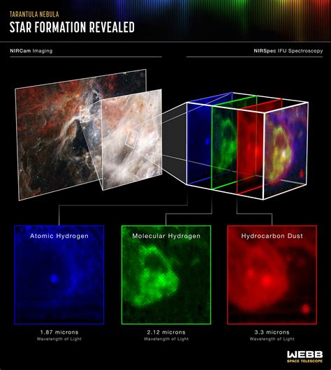 El Telescopio Espacial James Webb Captó Una Imagen única De La Nebulosa