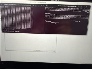 MSP430FR5994 Cannot Show Output In Terminal When Using Mspdebug To Run A Program On