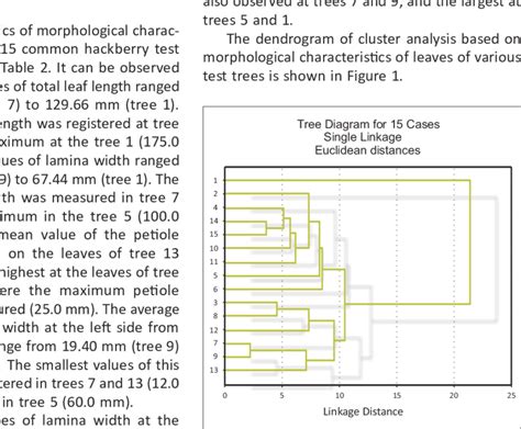 Dendrogram Of Cluster Analysis Based On Morphological Characteristics Download Scientific