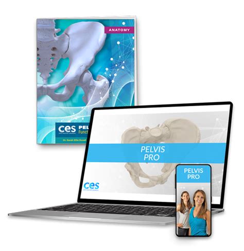 Pelvic Floor And Diastasis Recti Essentials Core Exercise Solutions