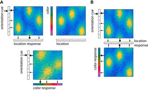 neural architecture for feature binding in visual working memory