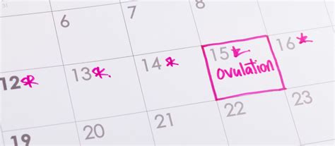 How To Know When Youre Most Fertile Pediatrix And Obstetrix