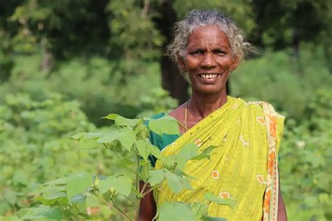 Grassroots Initiatives Fii Institute Site