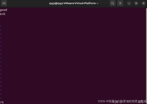 一些linux基本文件操作以及如何使用vim编辑器1使用vim编辑器编写makefile 文件当前目录下有文件a1c接受键盘输入两个