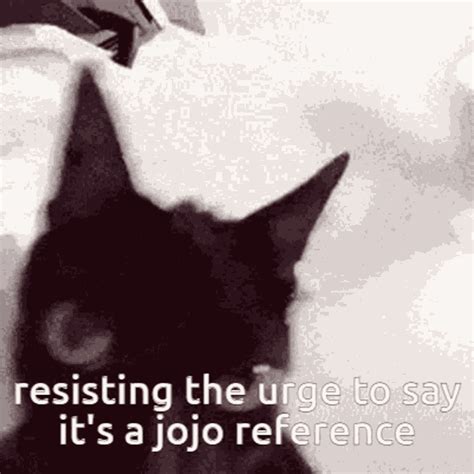 Jojo Reference Cat  Jojo Reference Cat Resisting Discover