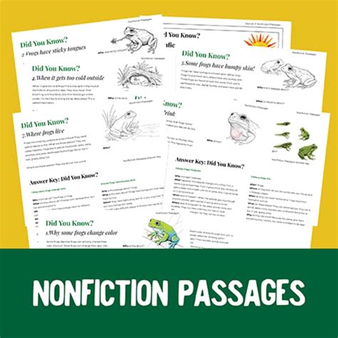 Who What Where When And Why Reading Comprehension By Classroom Core