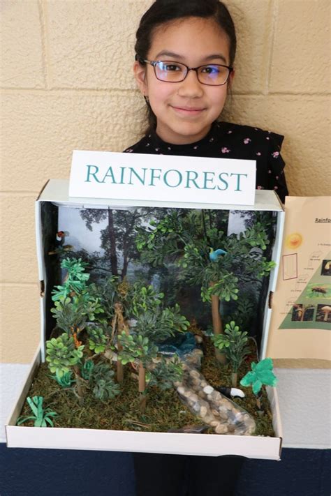Ecosystem In A Bottle Science Project — Tiaras And Tantrums Worksheets