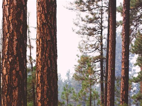 바르샤바는 폴란드의 수도이자 문화적 중심지로