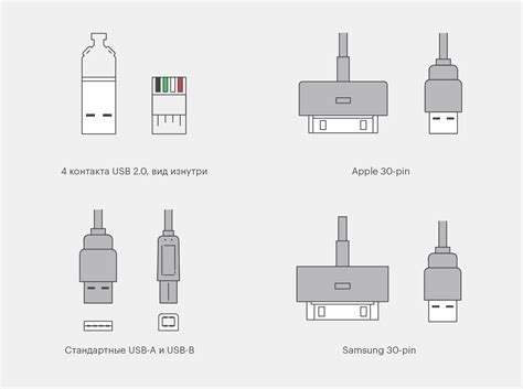 Usb что это за разъёмы каких видов бывают и как в них не запутаться Skillbox Media