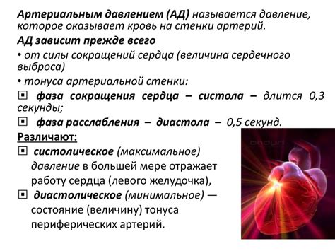 Артериальный пульс и артериальное давление - презентация онлайн