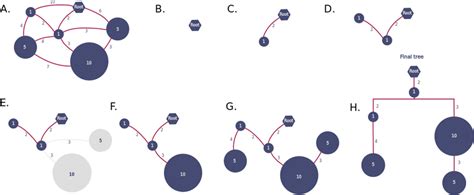 Clonaltree Construction Example We Start With A Connected Weighted