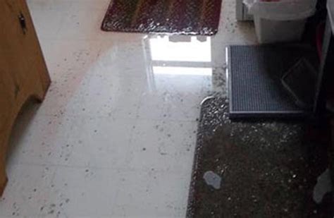 common plumbing overflow issues in your household
