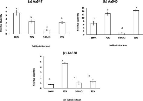 Quantitative Real Time Pcr Based Analysis Of Variation In Transcript