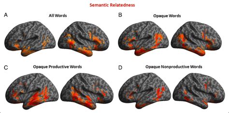 Rsa Semantic Relatedness Analyses Brain Areas Showing Significant Download Scientific Diagram