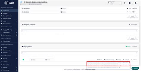Api Executiontesting With Swagger Codenow Documentation