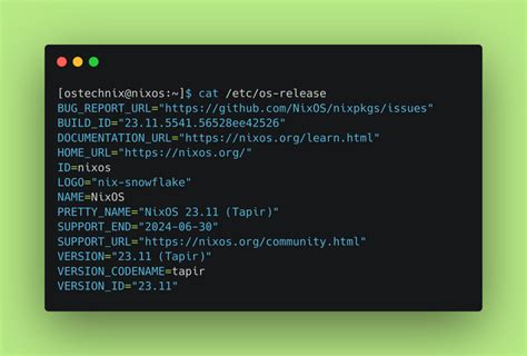 How To Upgrade Nixos 2311 To 2405 Step By Step Ostechnix