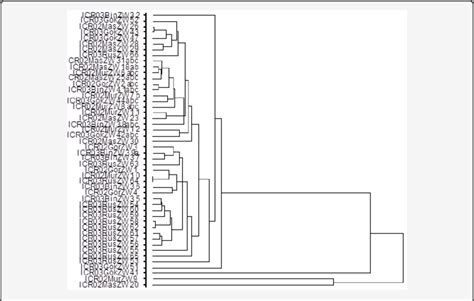 Dendrogram Of The Cluster Analysis Of Different Phenotypes Download Scientific Diagram