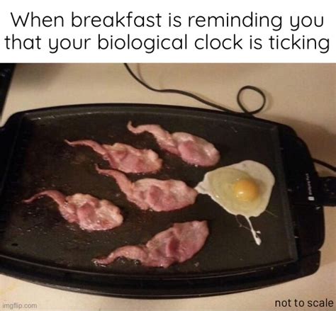 Internal Clock Memes