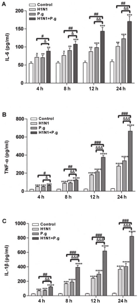 Effects Of P G On The Expression Levels Of Tnf α Il 1β And Il 6 In Download Scientific