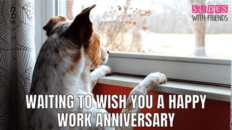 How To Say Happy Work Anniversary 50 Messages Quotes And S Roundup