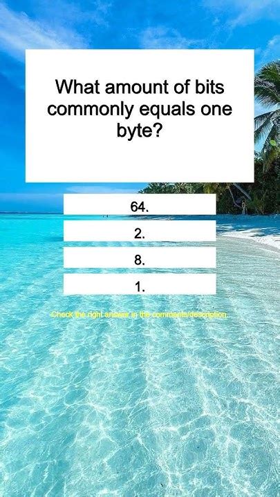 Bits In A Byte Quiz Lander Youtube