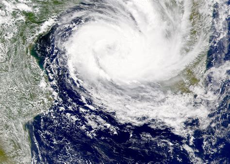 Cyclone JungleKey Fr Image