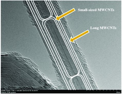 Long Multi Walled Carbon Nanotube Mwcnt That Is Formed By Download Scientific Diagram